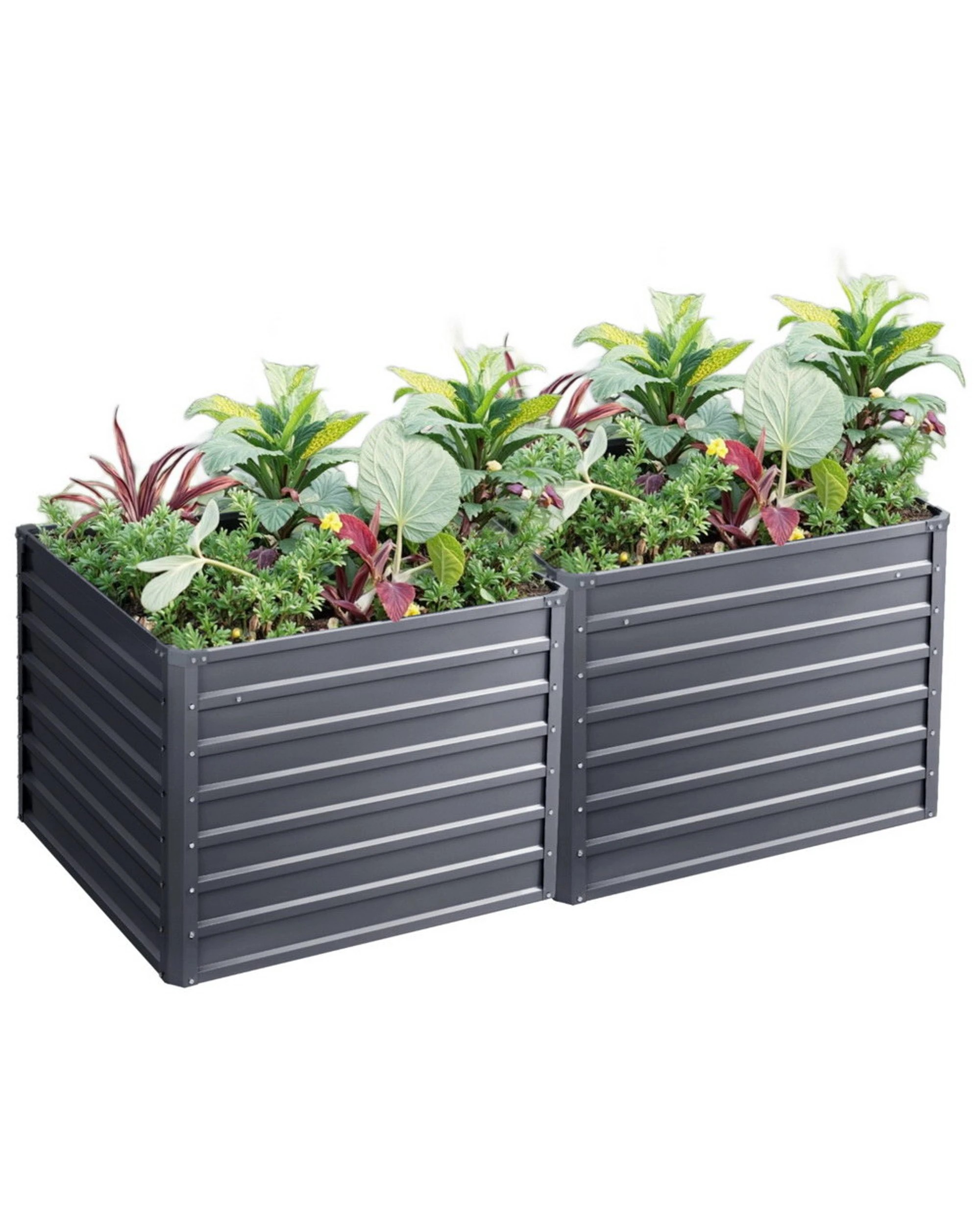 Green Fingers 2x Garden Bed 100x100x77cm Planter Box Raised Container ...
