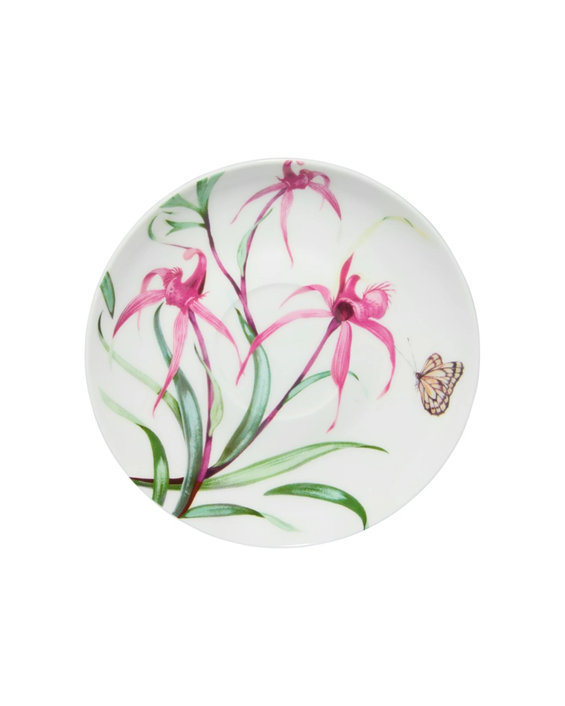 Maxwell & Williams Eloise Short Lyric Cup & Saucer Set 240ml Spinebill ...