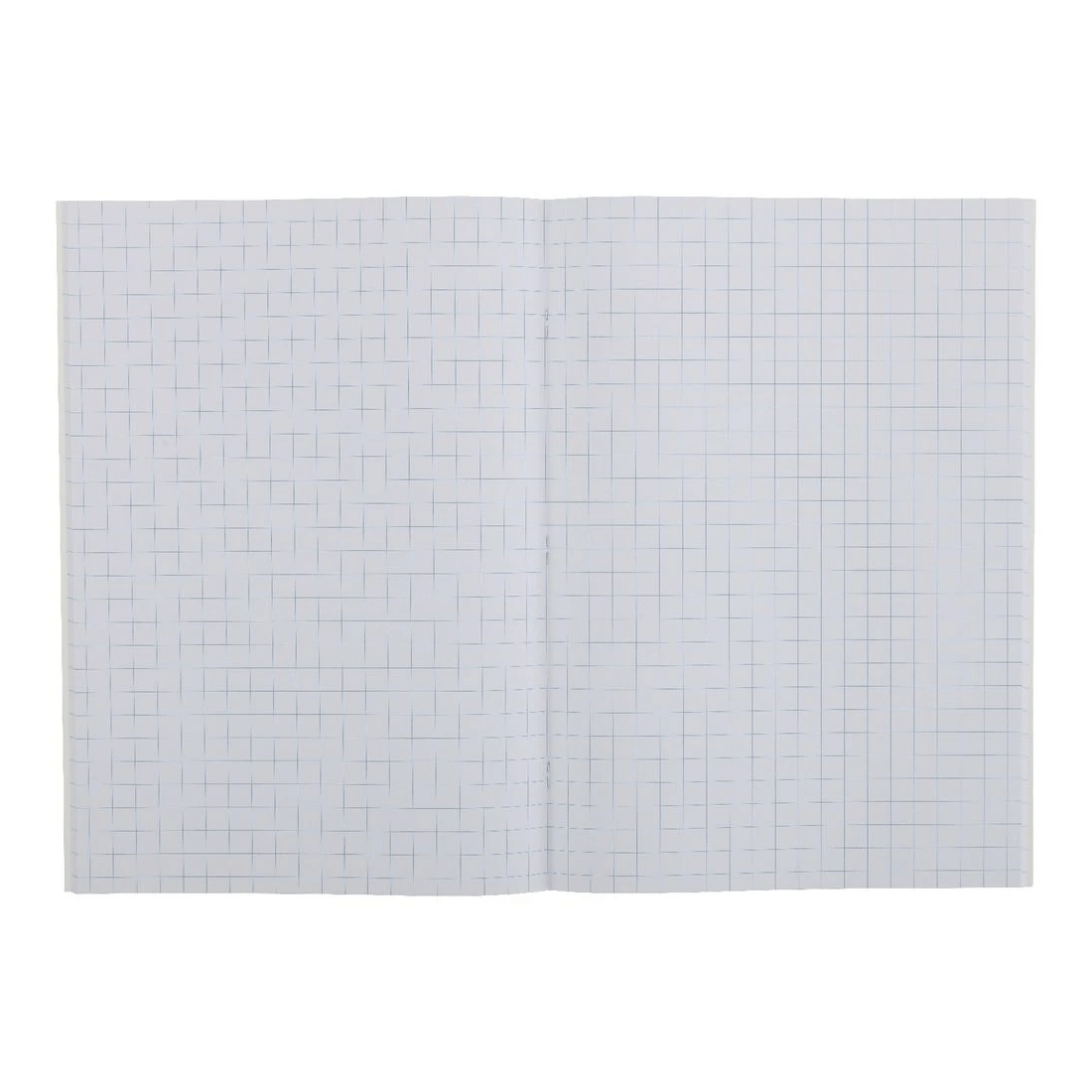 Studymate A4 70gsm 10mm Grid Book 96 Page - Kmart
