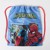 Spider-Man License Drawstring Bag - Kmart