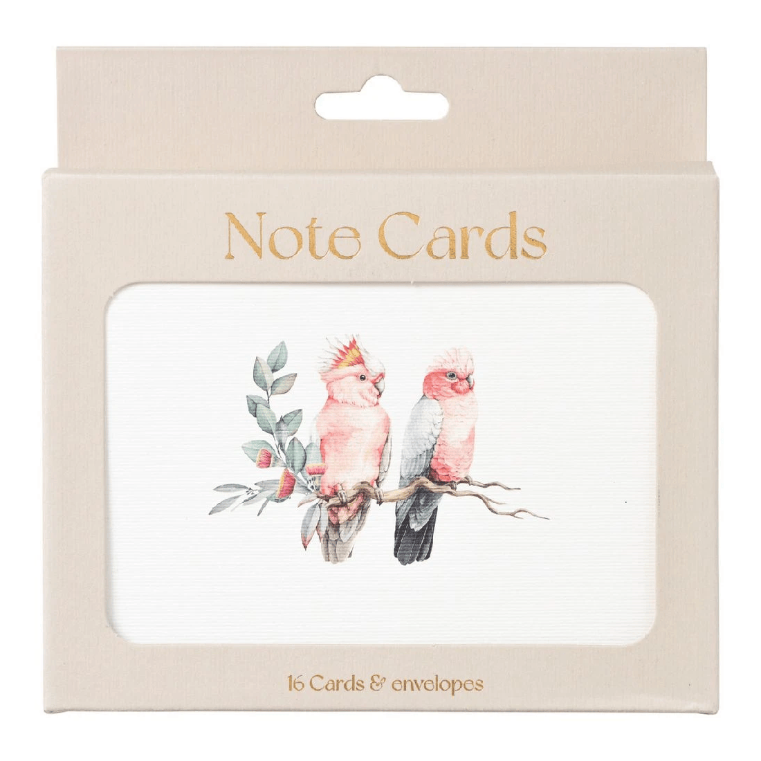 Otto Cards Bird/Floral 16 Pack - Kmart