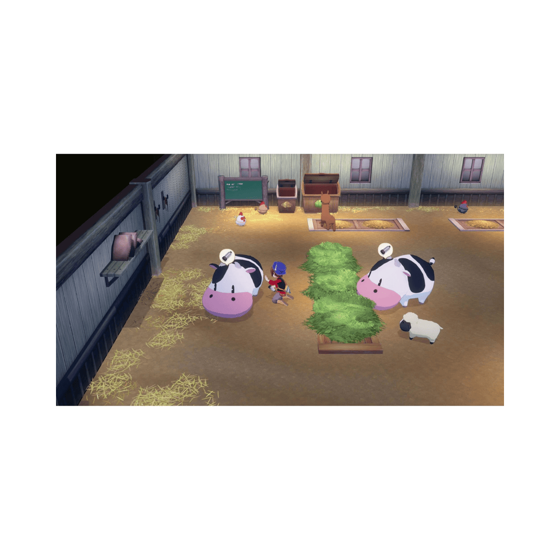 Marvelous Interactive Story of Seasons: Grand Bazaar Nintendo Switch 2 ...