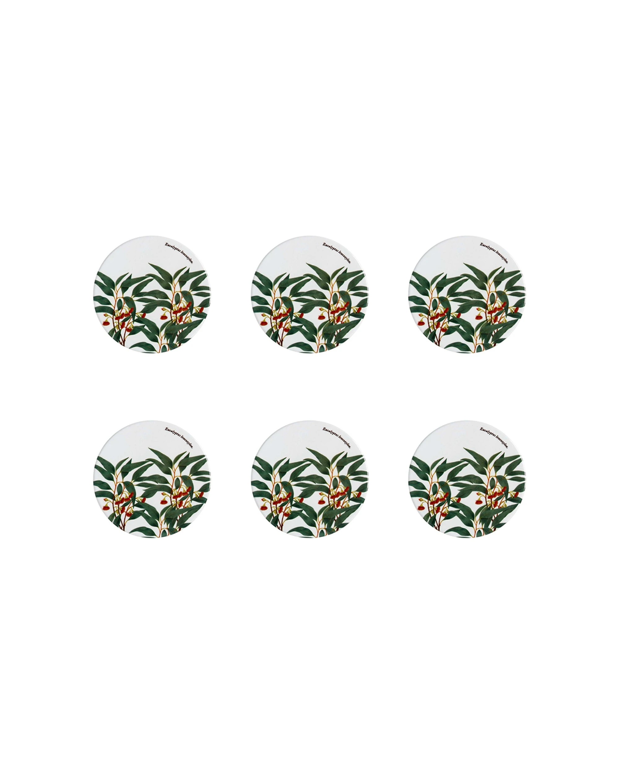 Maxwell & Williams 6PK Botanic Gardens Victoria Coaster Ceramic Cork ...