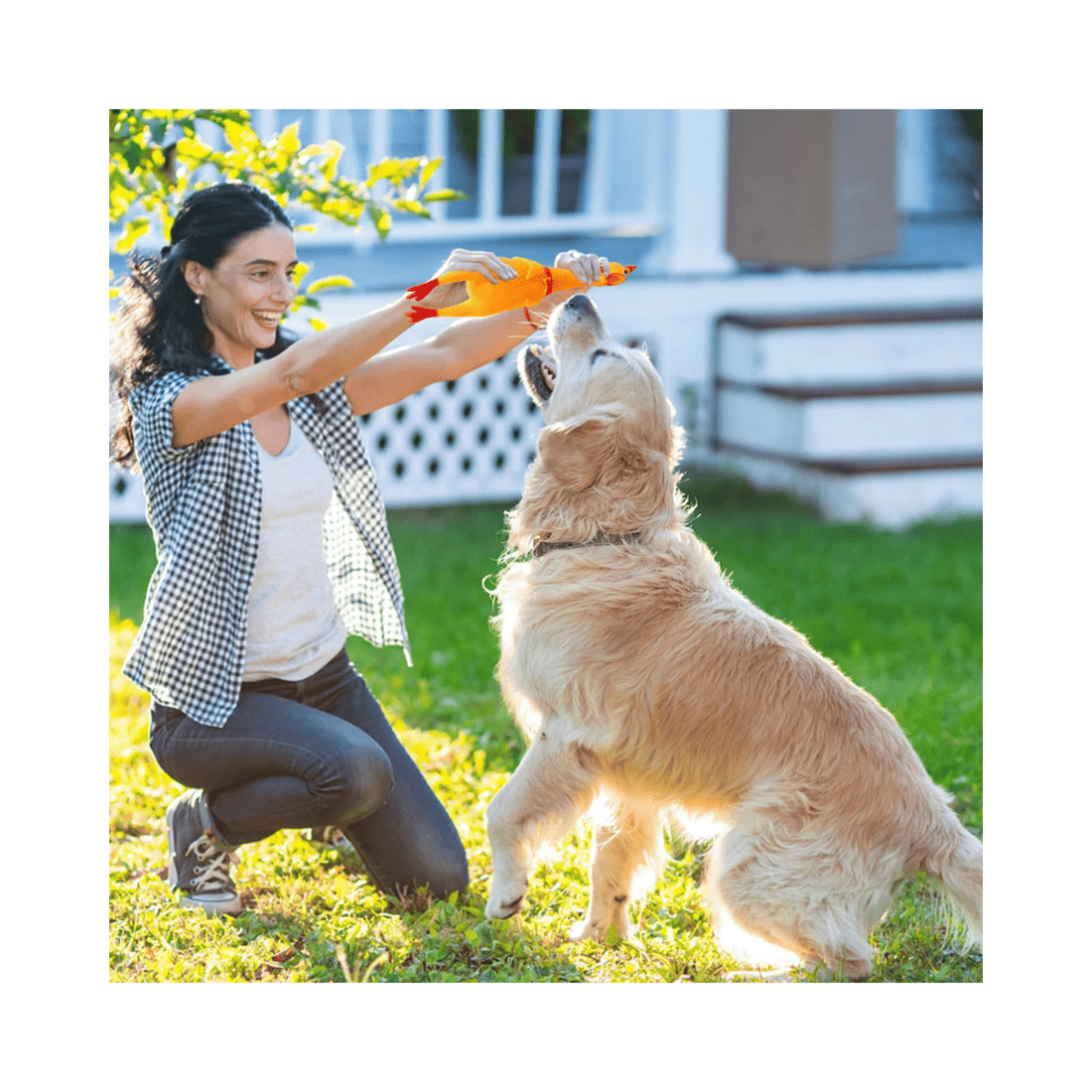 BR Pets 3-Pack Squeaky Chicken Dog Chew Toys with Squeezing Sound - Kmart